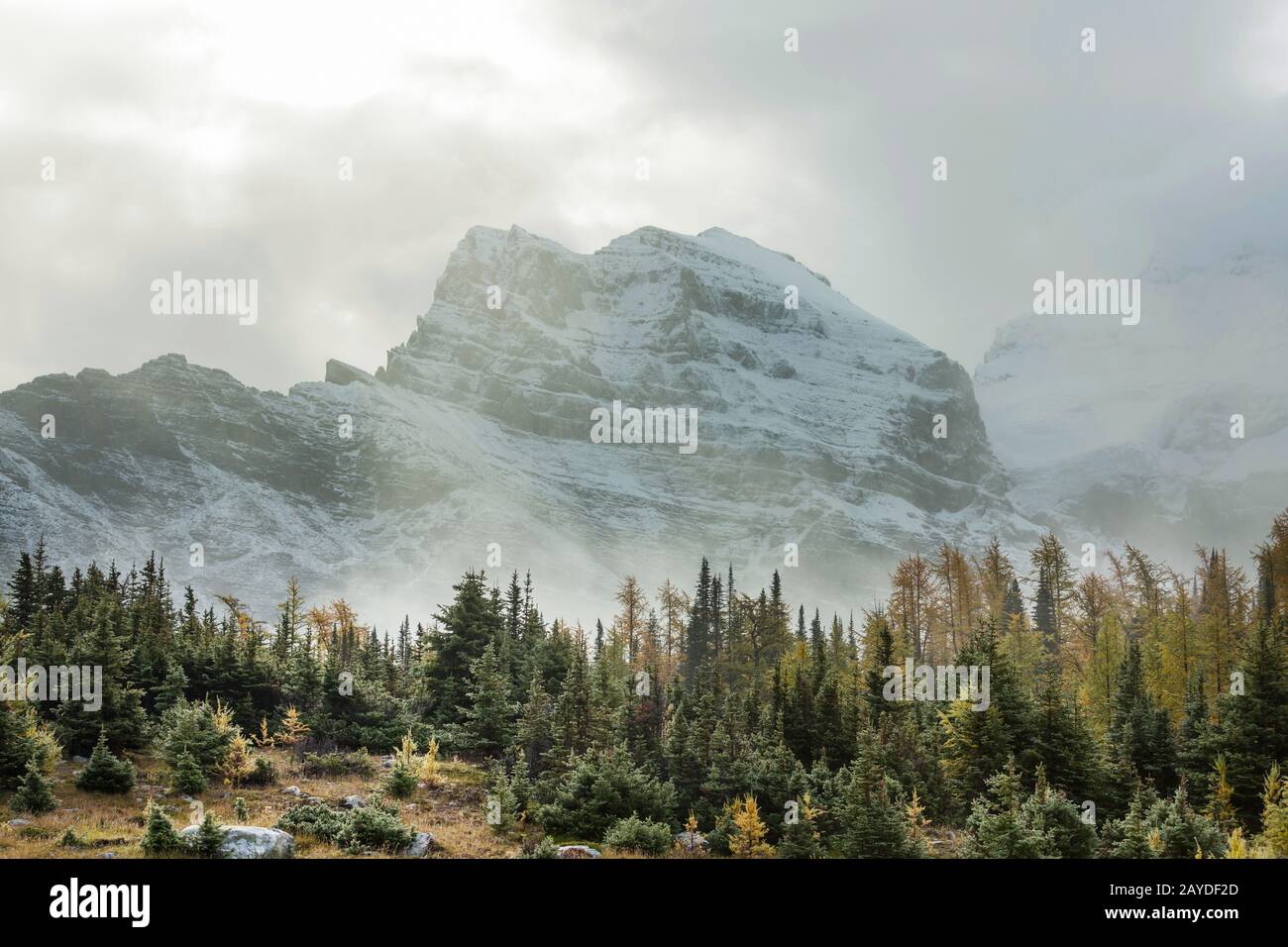Autumn in Canada Stock Photo - Alamy