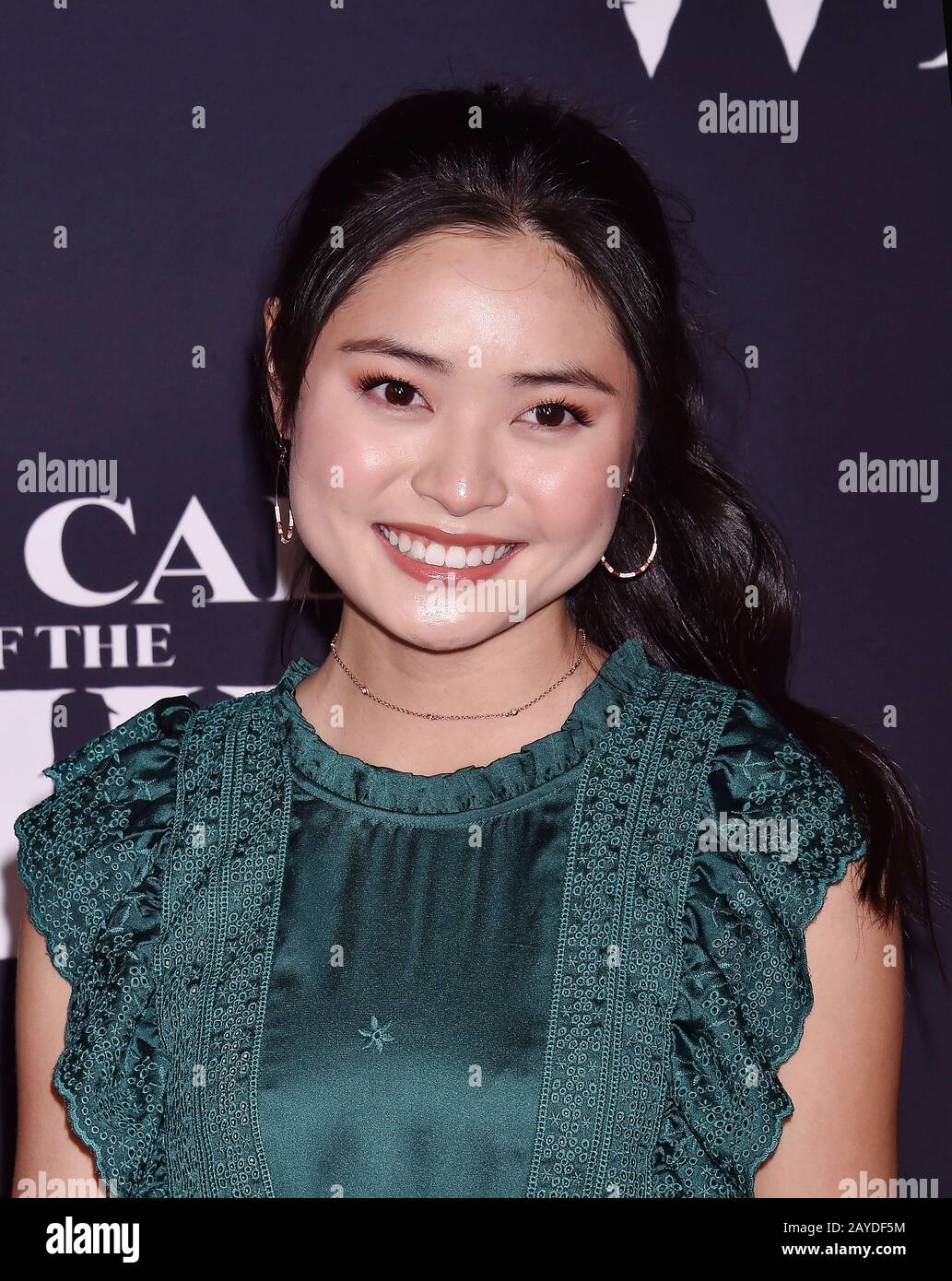 HOLLYWOOD, CA - FEBRUARY 13: Ashley Liao attends the Premiere of 20th ...