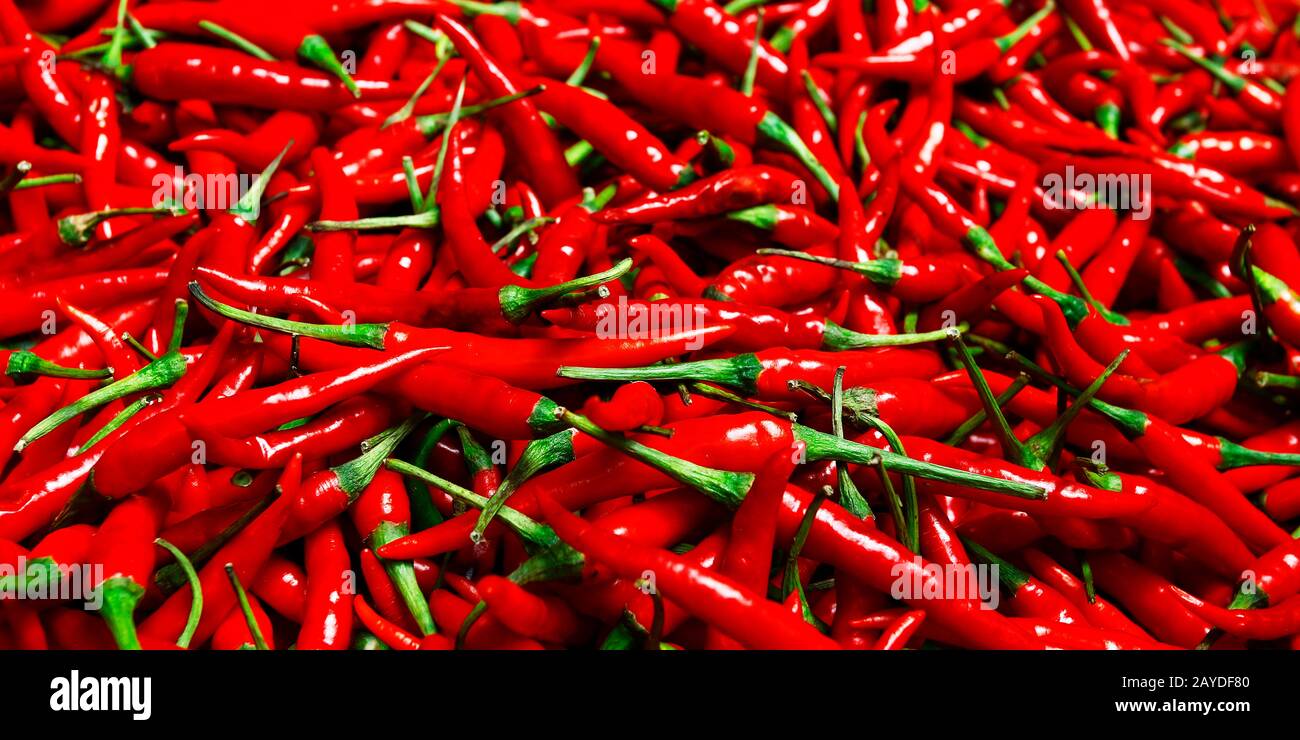 red chilli pepper Stock Photo - Alamy