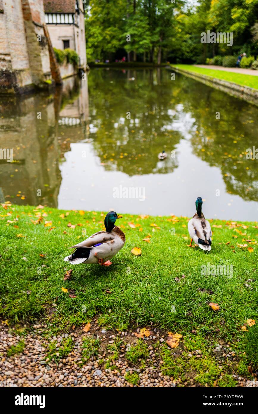 grounds of baddesley clinton stately home warwickshire england uk Stock ...