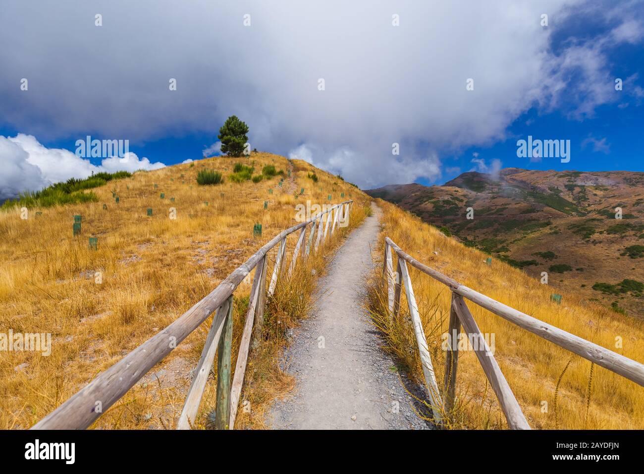 Mountains landscape - Madeira Portugal Stock Photo - Alamy