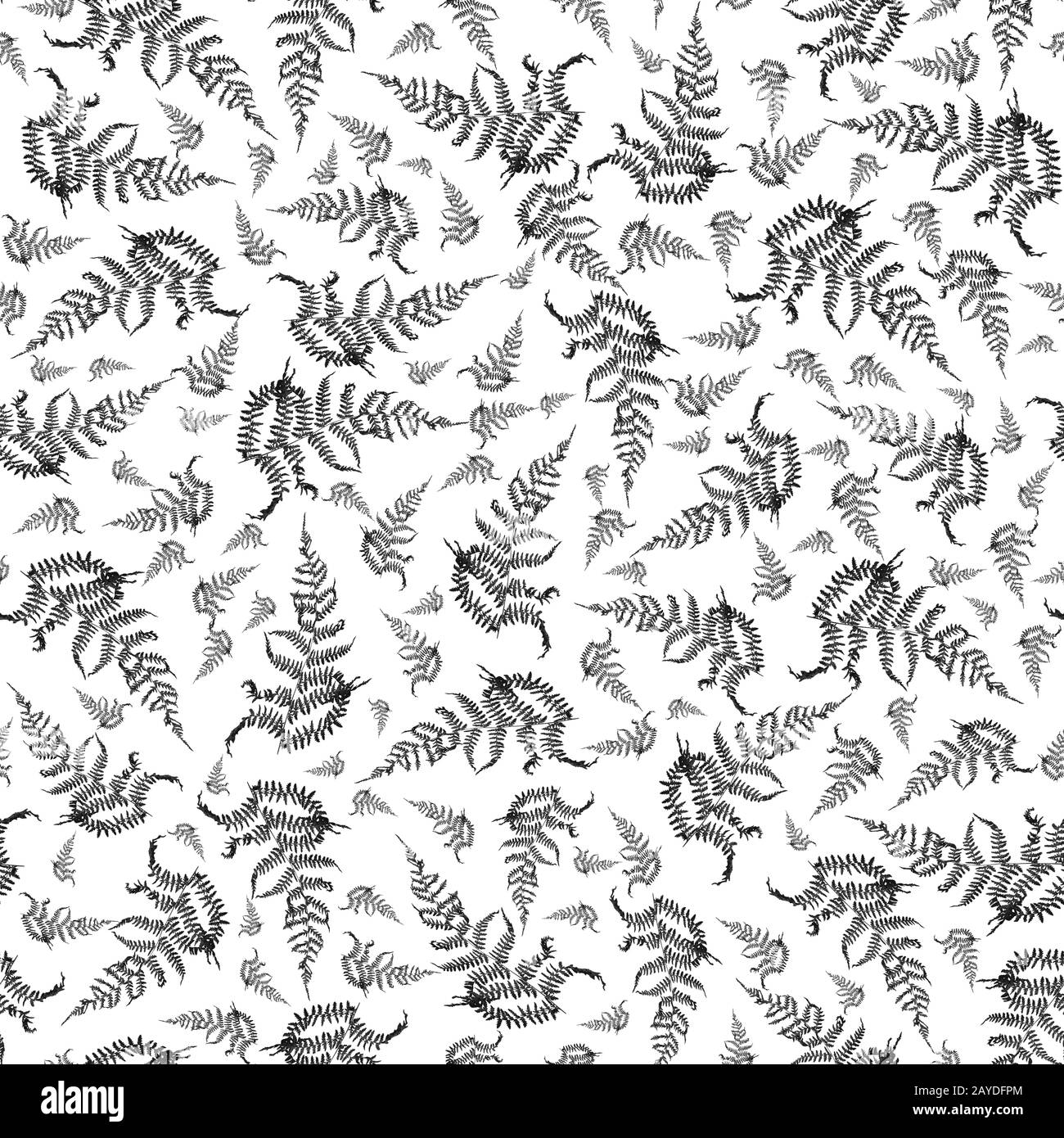 ornate seamless black and white modern repeating fern background design ...