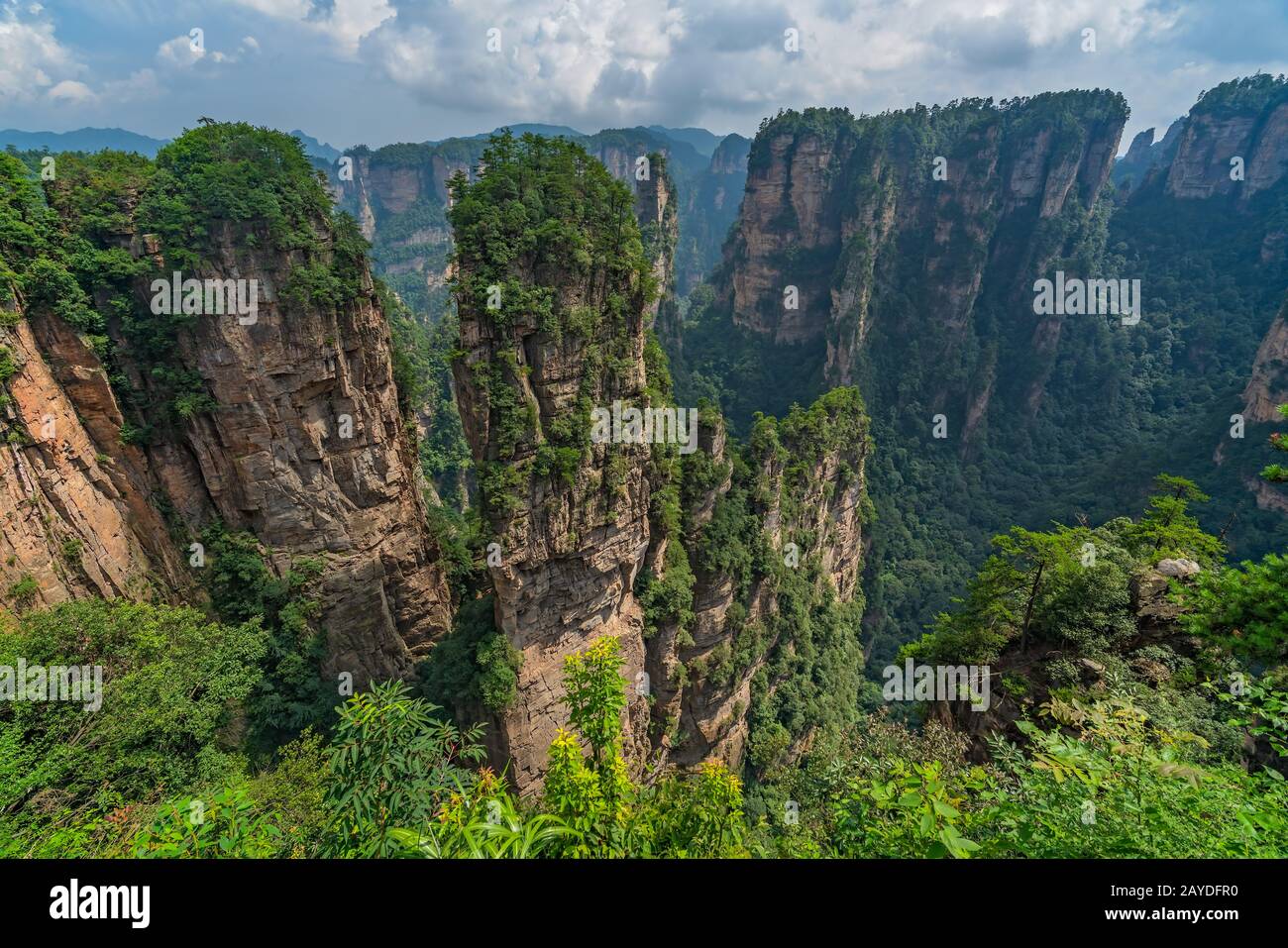 Vertical karst pillar rock formations seen from the Enchanting terrace ...