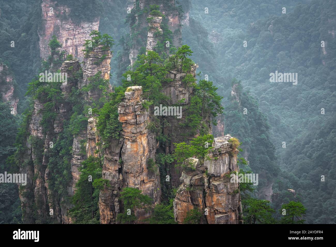 Stone pillars of Tianzi mountains in Zhangjiajie Stock Photo - Alamy