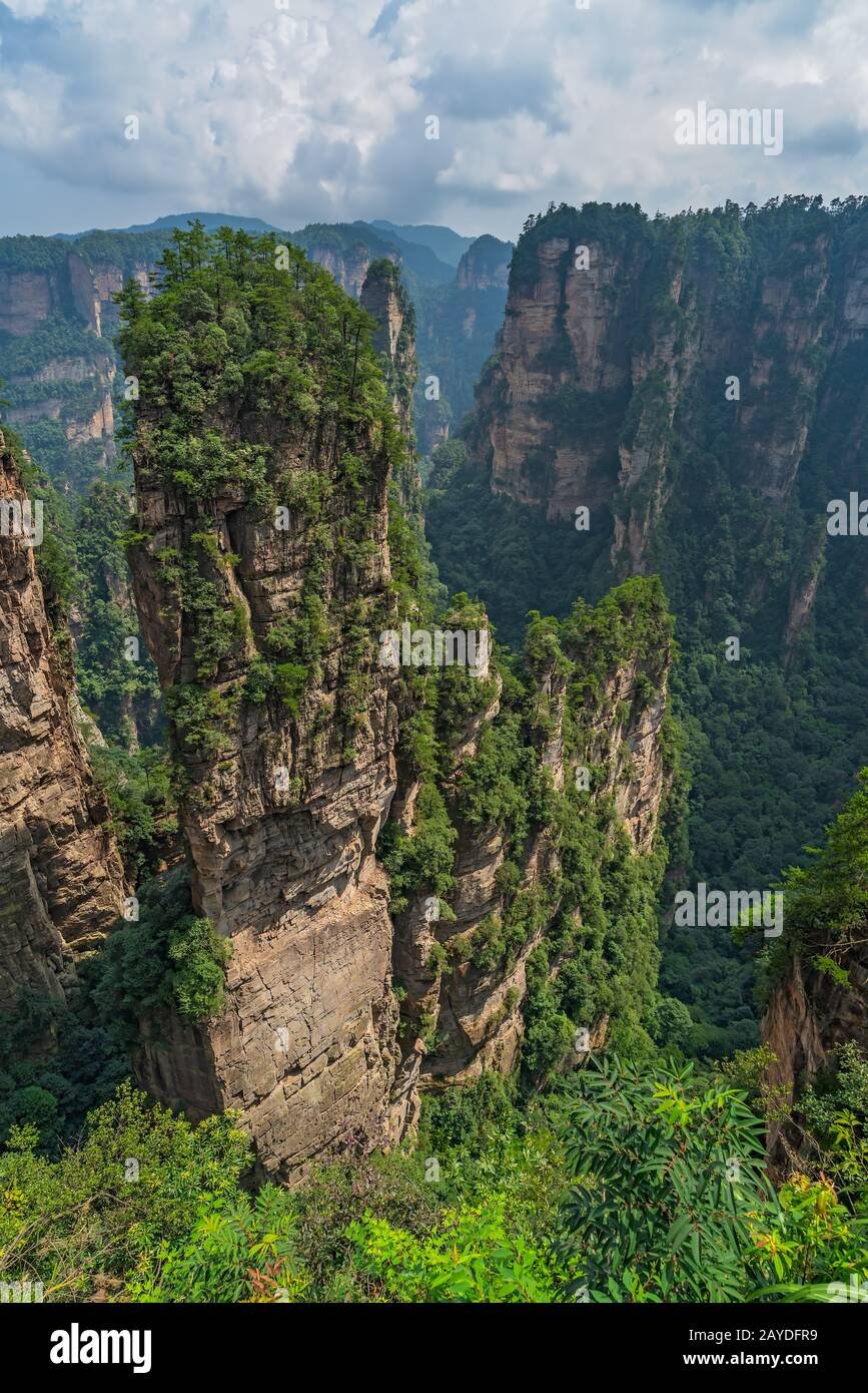 Vertical karst pillar rock formations seen from the Enchanting terrace ...