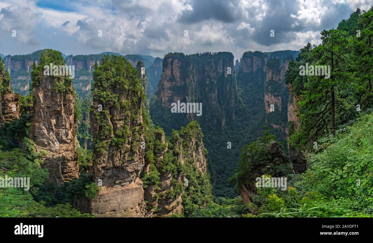 Vertical karst pillar rock formations seen from the Enchanting terrace ...