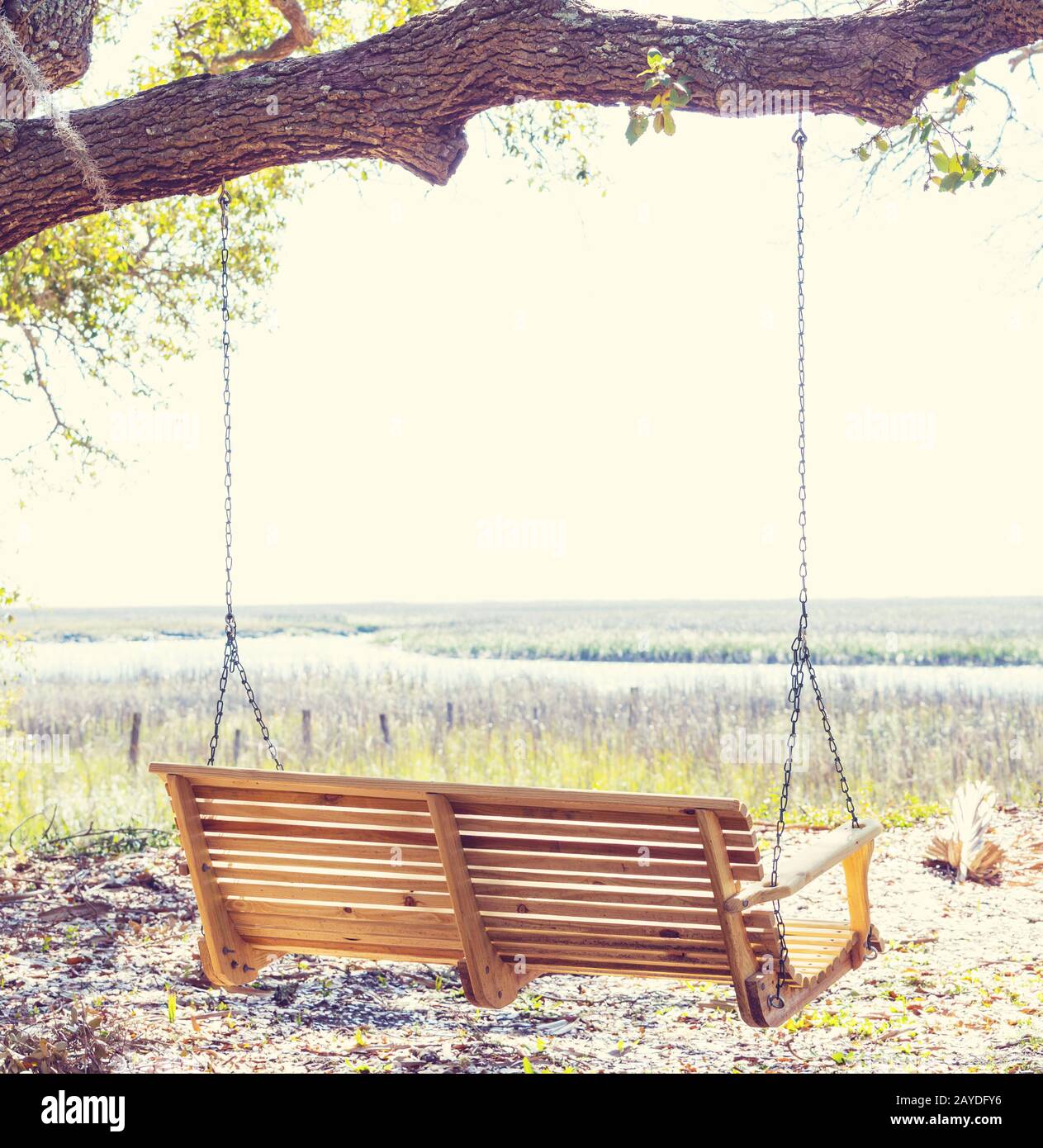 Backyard tree swing set hi-res stock photography and images - Alamy
