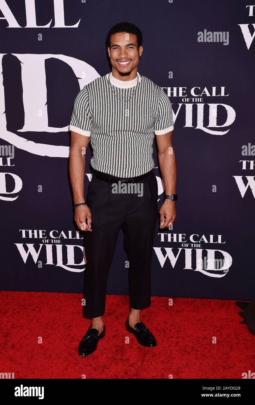HOLLYWOOD, CA - FEBRUARY 13: Greg Tarzan Davis attends the Premiere of ...