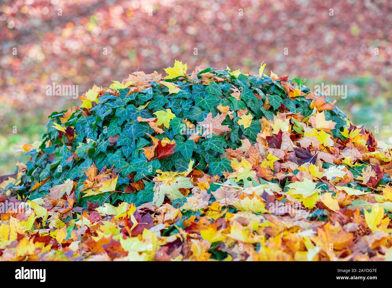 Natural autumn pattern background Stock Photo - Alamy