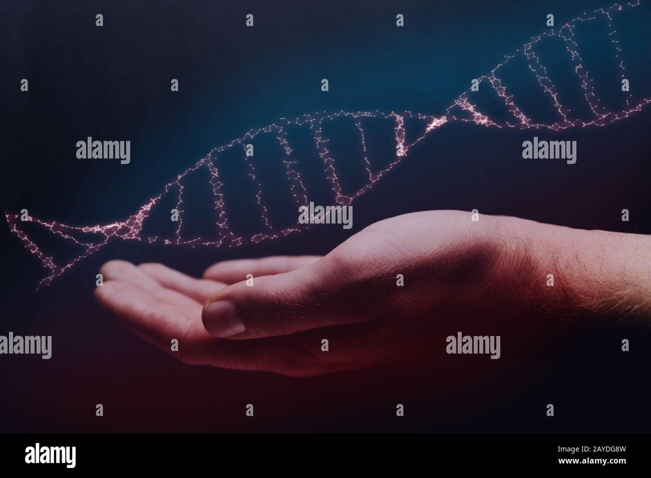 Man holding DNA molecule in palm Stock Photo - Alamy