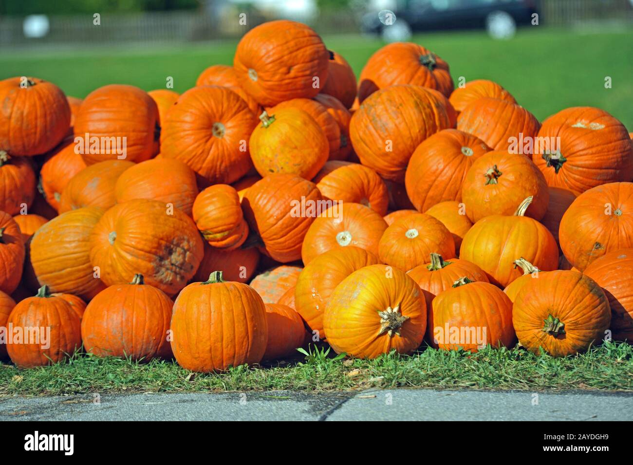 Korbis hi-res stock photography and images - Alamy