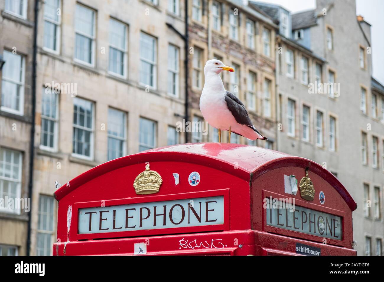Edinburgh rests hi-res stock photography and images - Alamy