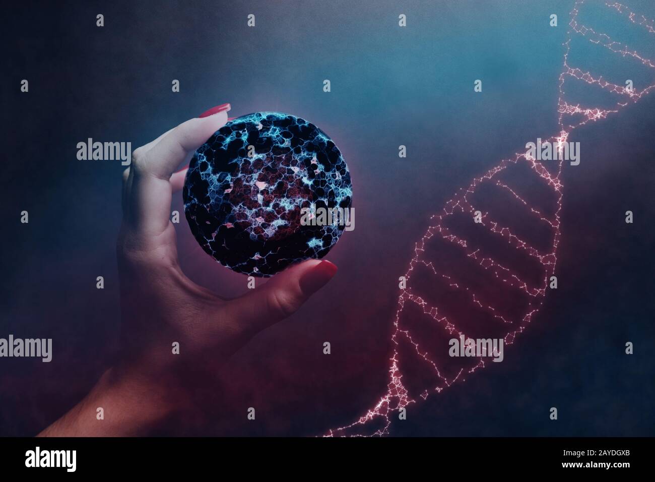 Human hand holding cell dividing and DNA. Mixed media Stock Photo - Alamy