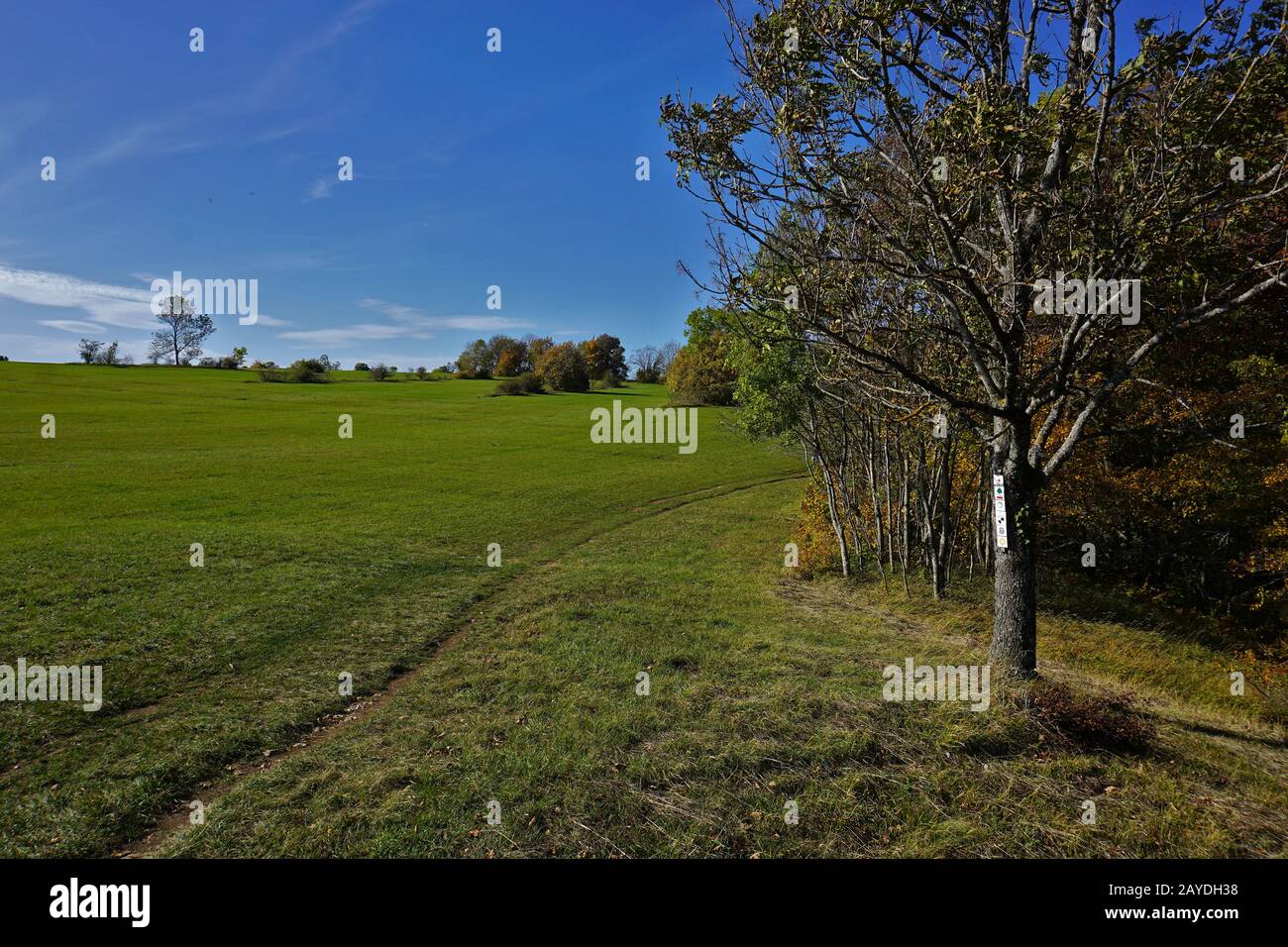 Hiking trail on the Hörnle, Balinger mountains, Swabian alb, Germany ...