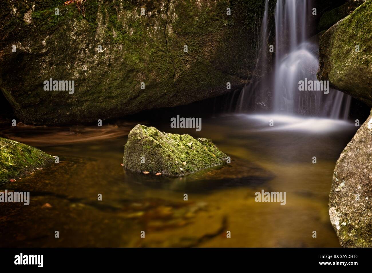 Forrest creek hi-res stock photography and images - Alamy