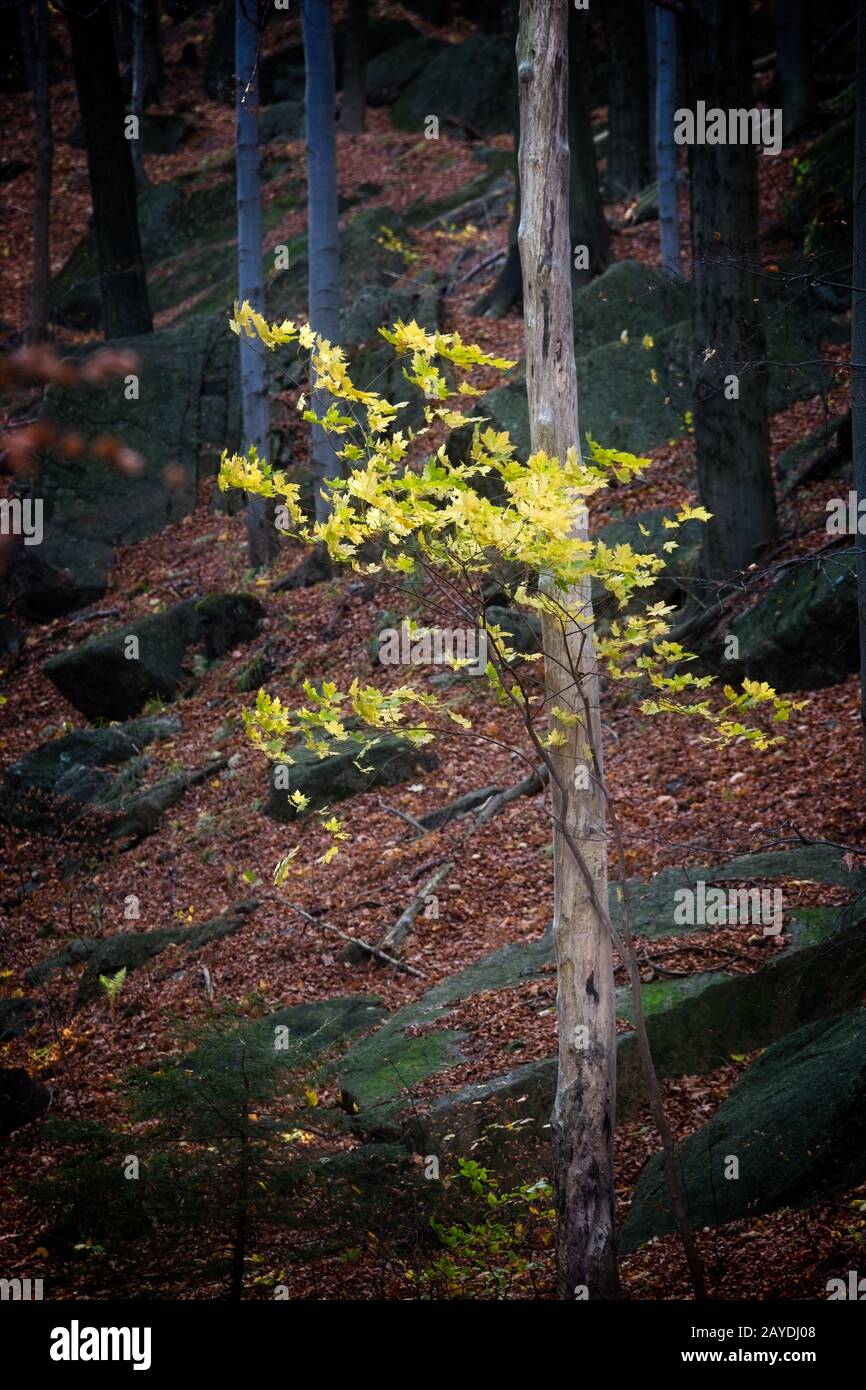 Deep colors hi-res stock photography and images - Alamy