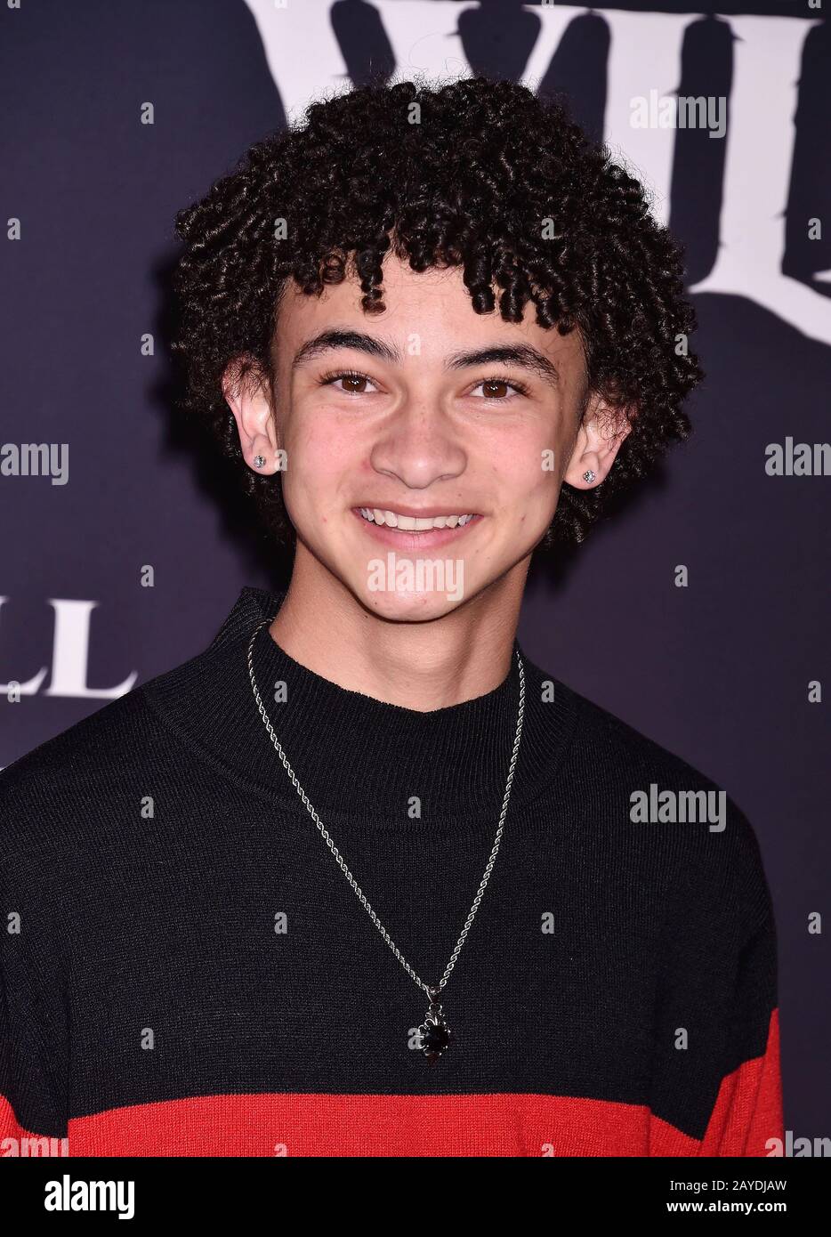 HOLLYWOOD, CA - FEBRUARY 13: Faly Rakotohavana attends the Premiere of ...