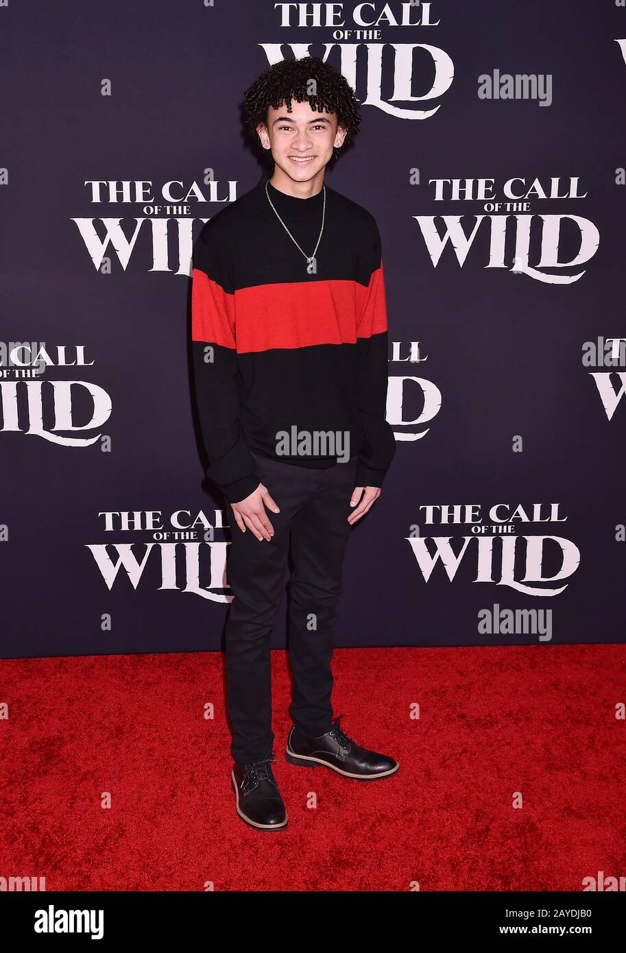 HOLLYWOOD, CA - FEBRUARY 13: Faly Rakotohavana attends the Premiere of ...