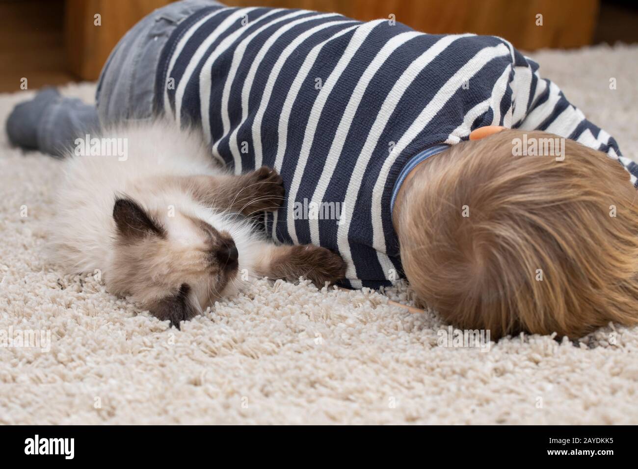 Boy cuddle cat hi-res stock photography and images - Alamy