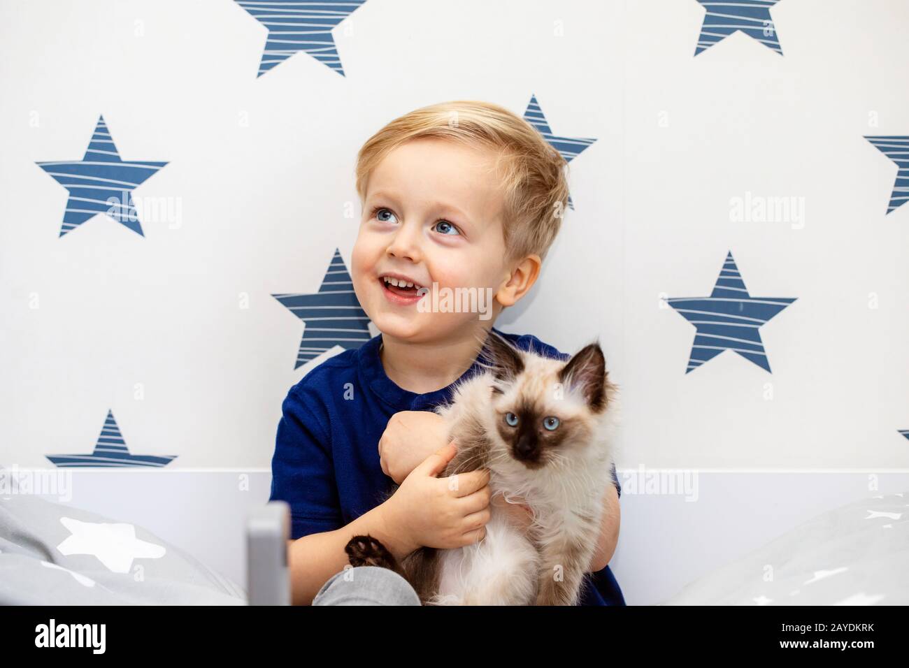 Boy playing with kitten hi-res stock photography and images - Alamy