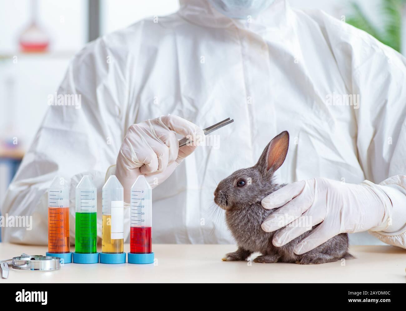Lab testing animals hi-res stock photography and images - Alamy