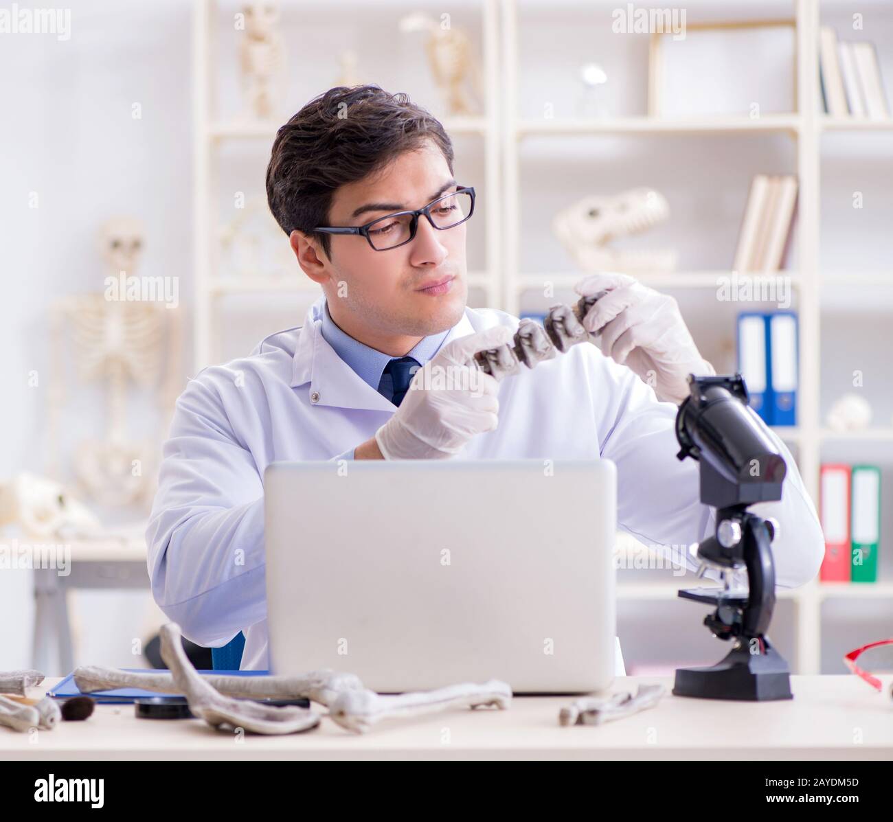 Professor studying human skeleton in lab Stock Photo - Alamy