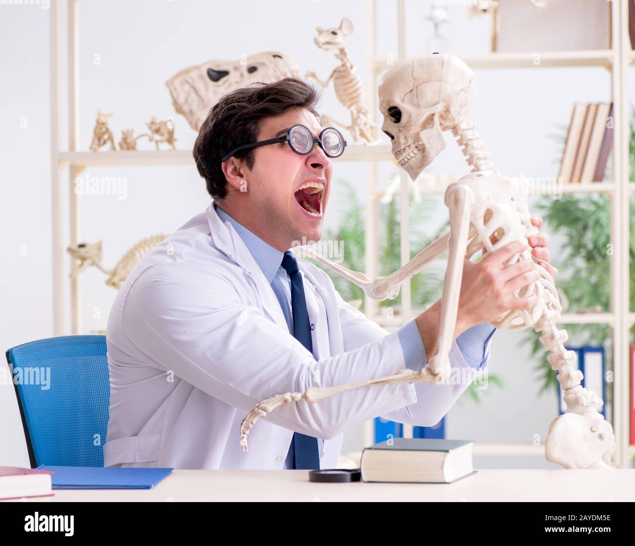 Academic professor studying human skull hi-res stock photography and ...
