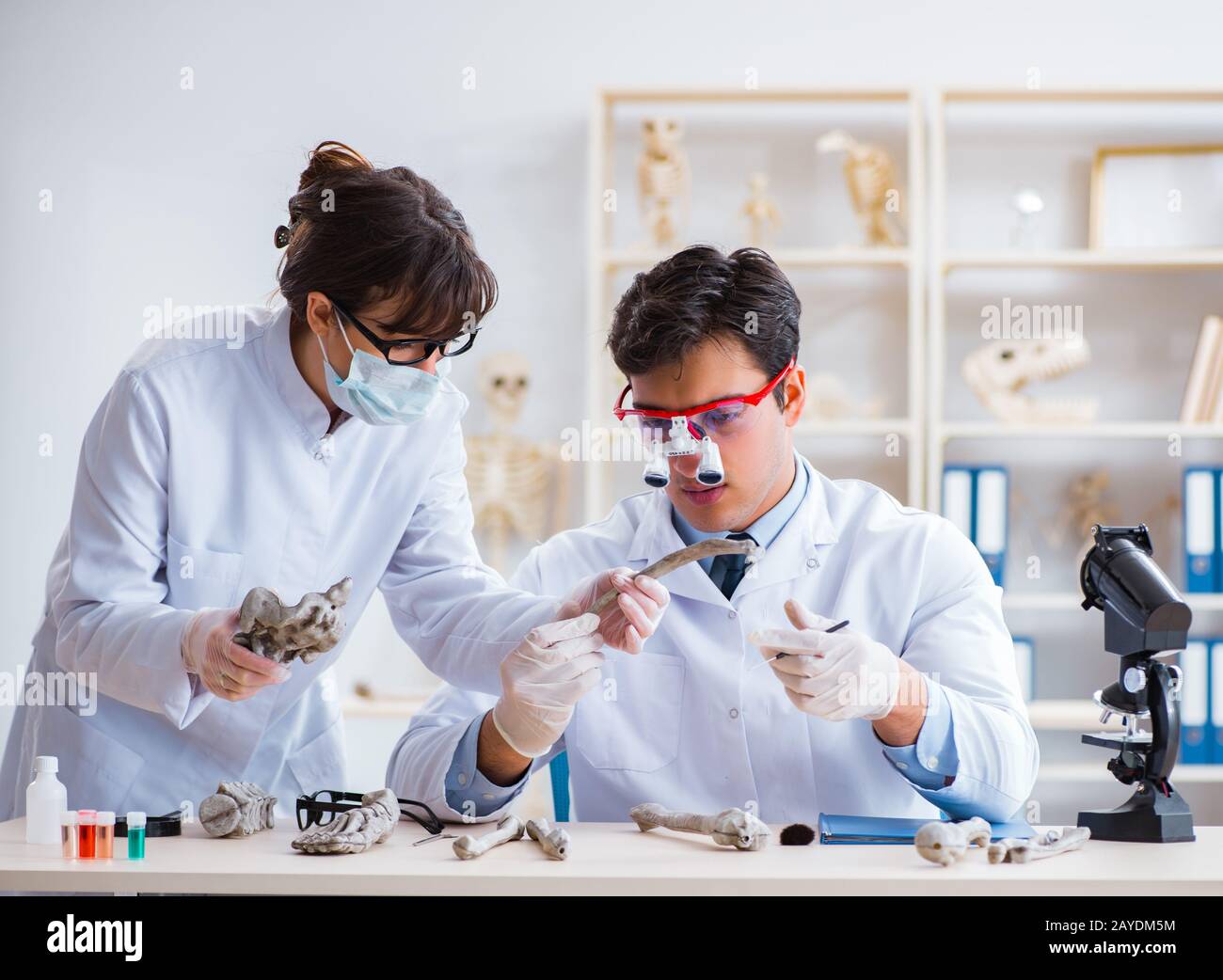 Professor studying human skeleton in lab Stock Photo - Alamy