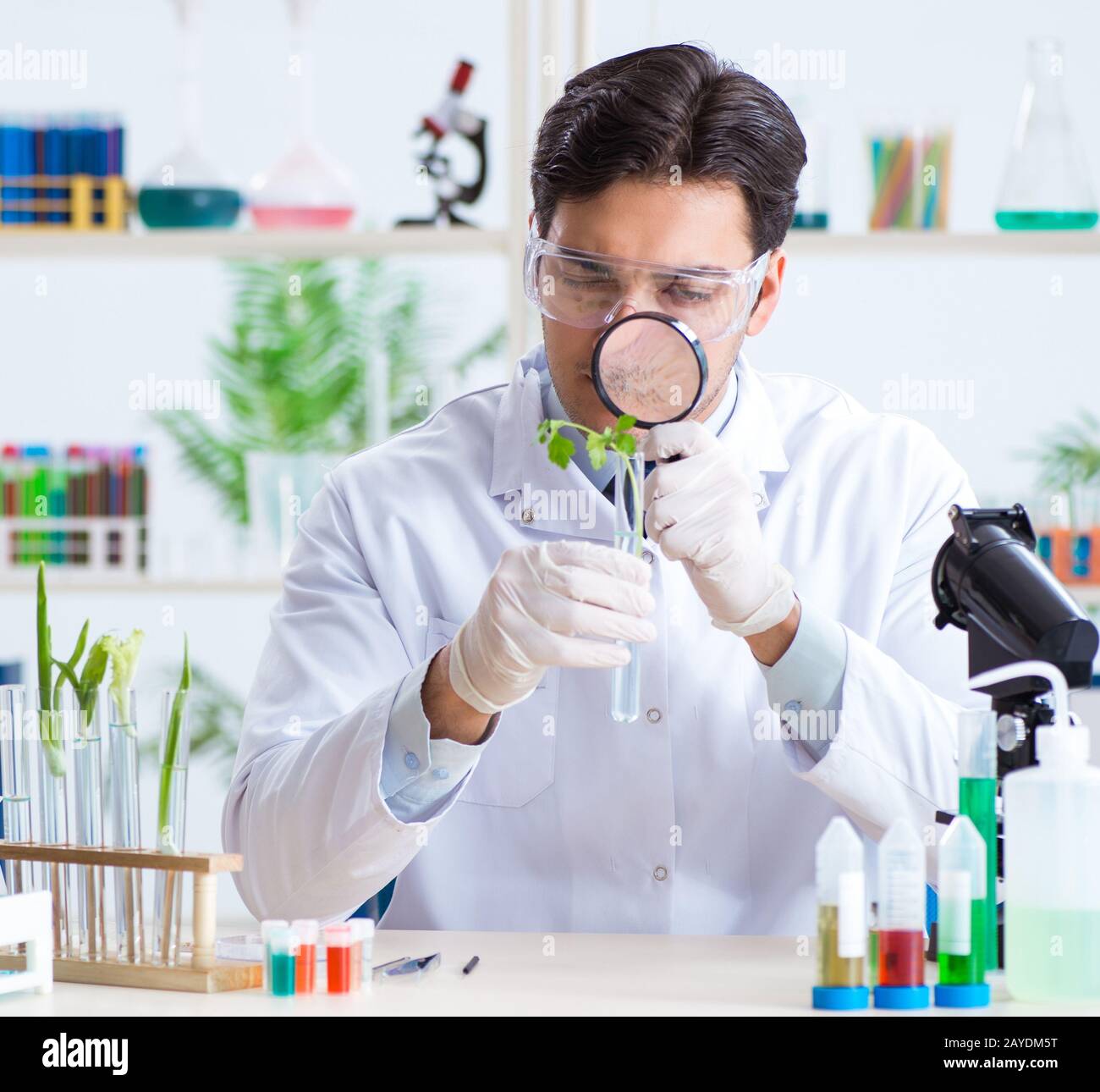 Male biochemist working in the lab on plants Stock Photo - Alamy