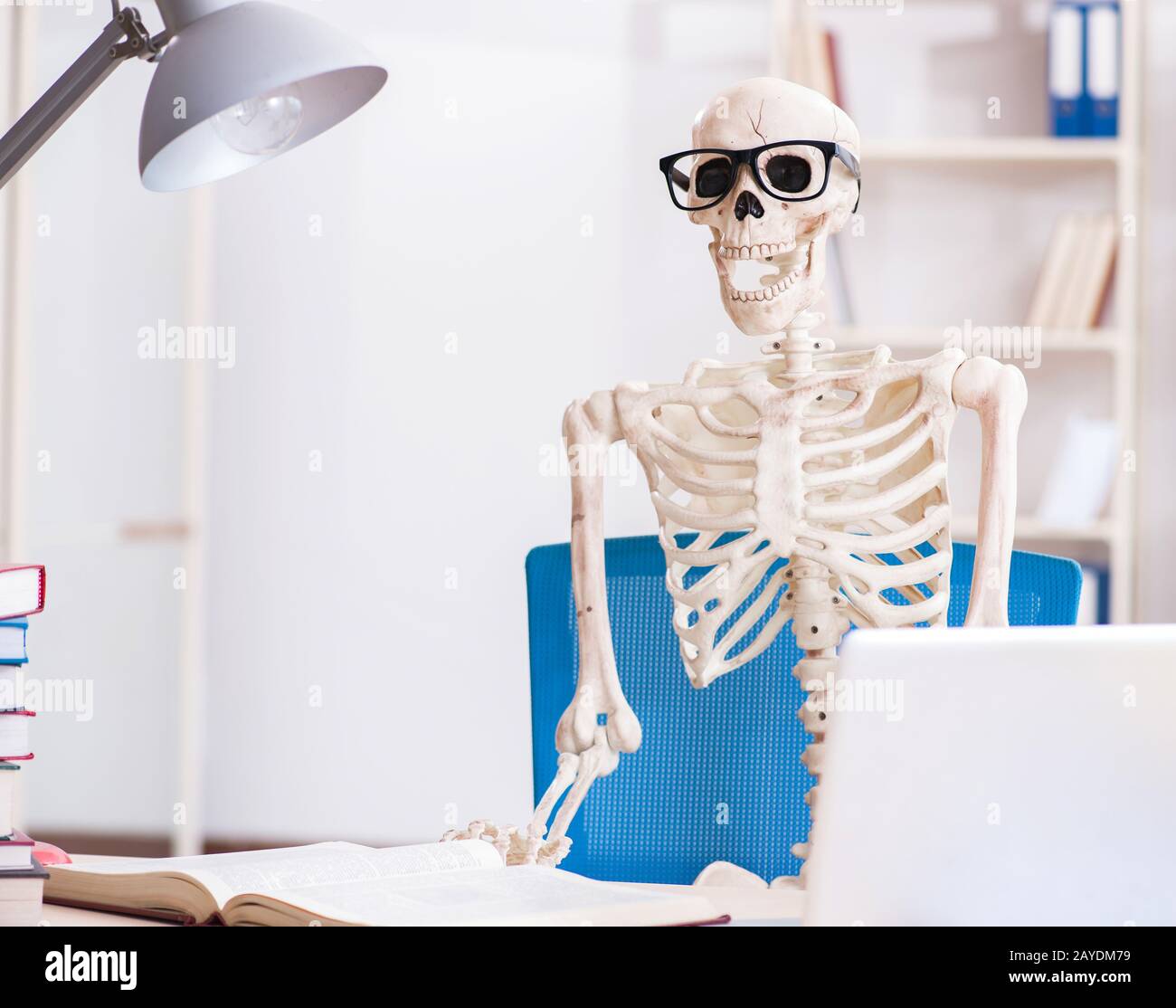 Human skeleton sitting with laptop computer hi-res stock photography ...