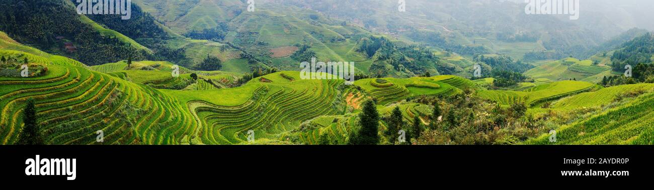 Rice terraces sri lanka hi-res stock photography and images - Alamy