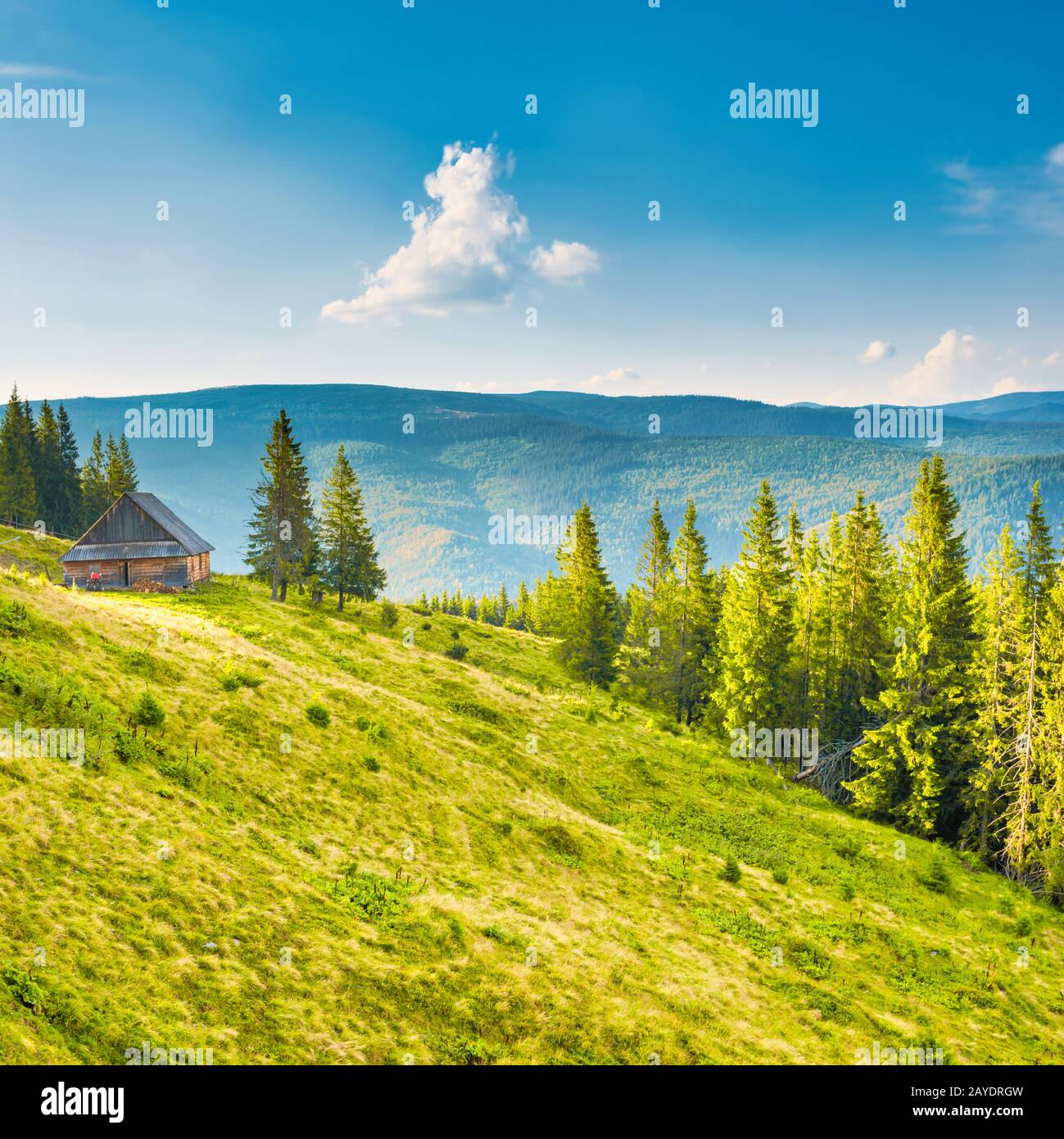 Green valley forest mountains hi-res stock photography and images - Alamy