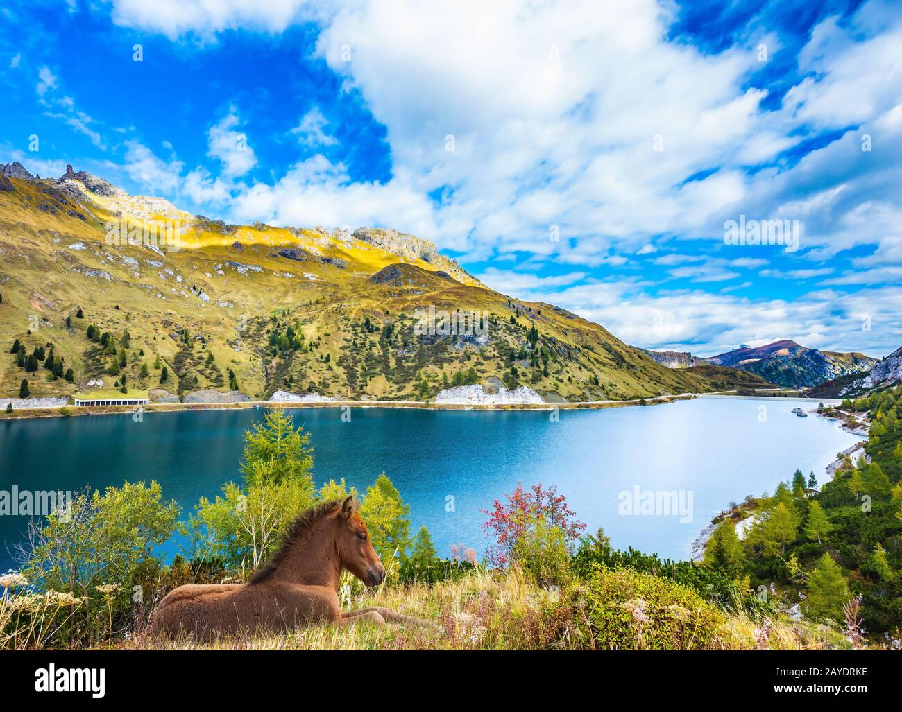 Calmly hi-res stock photography and images - Alamy