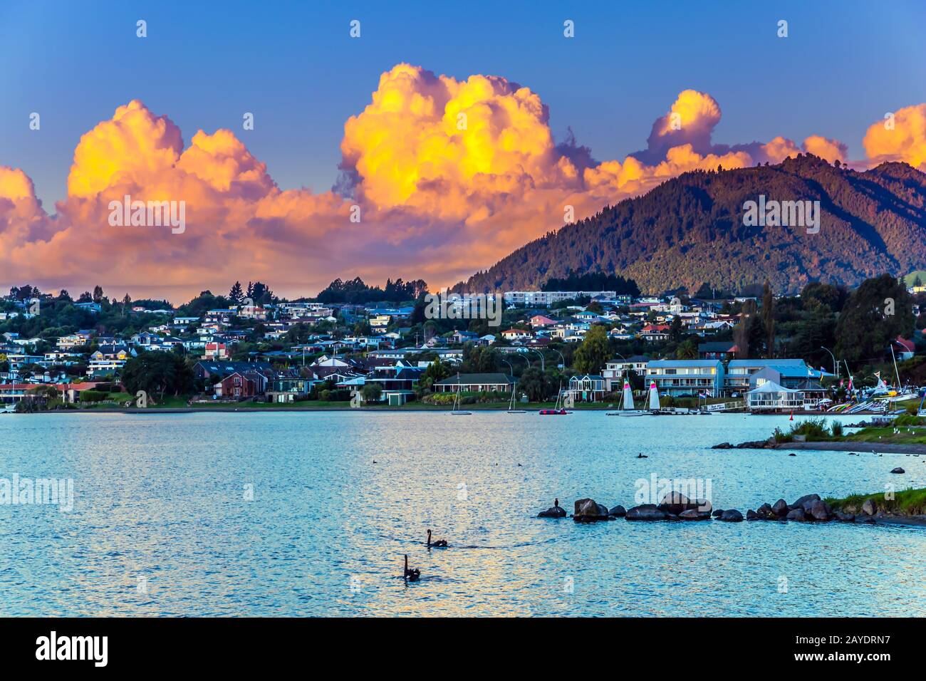 Fabulous summer sunset Stock Photo - Alamy