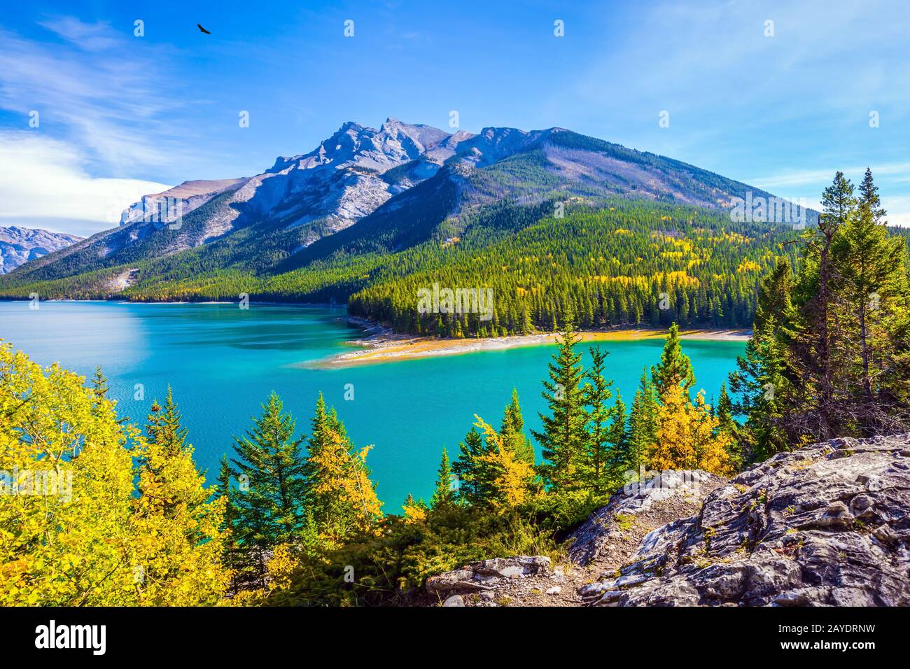The turquoise water Stock Photo - Alamy