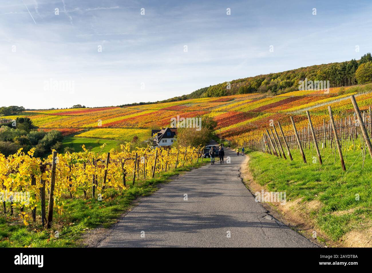 Indian valley hi-res stock photography and images - Alamy