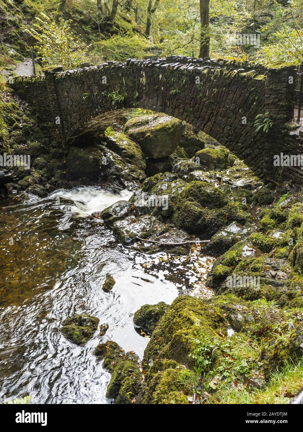 Aira force lake district autumn hi-res stock photography and images - Alamy