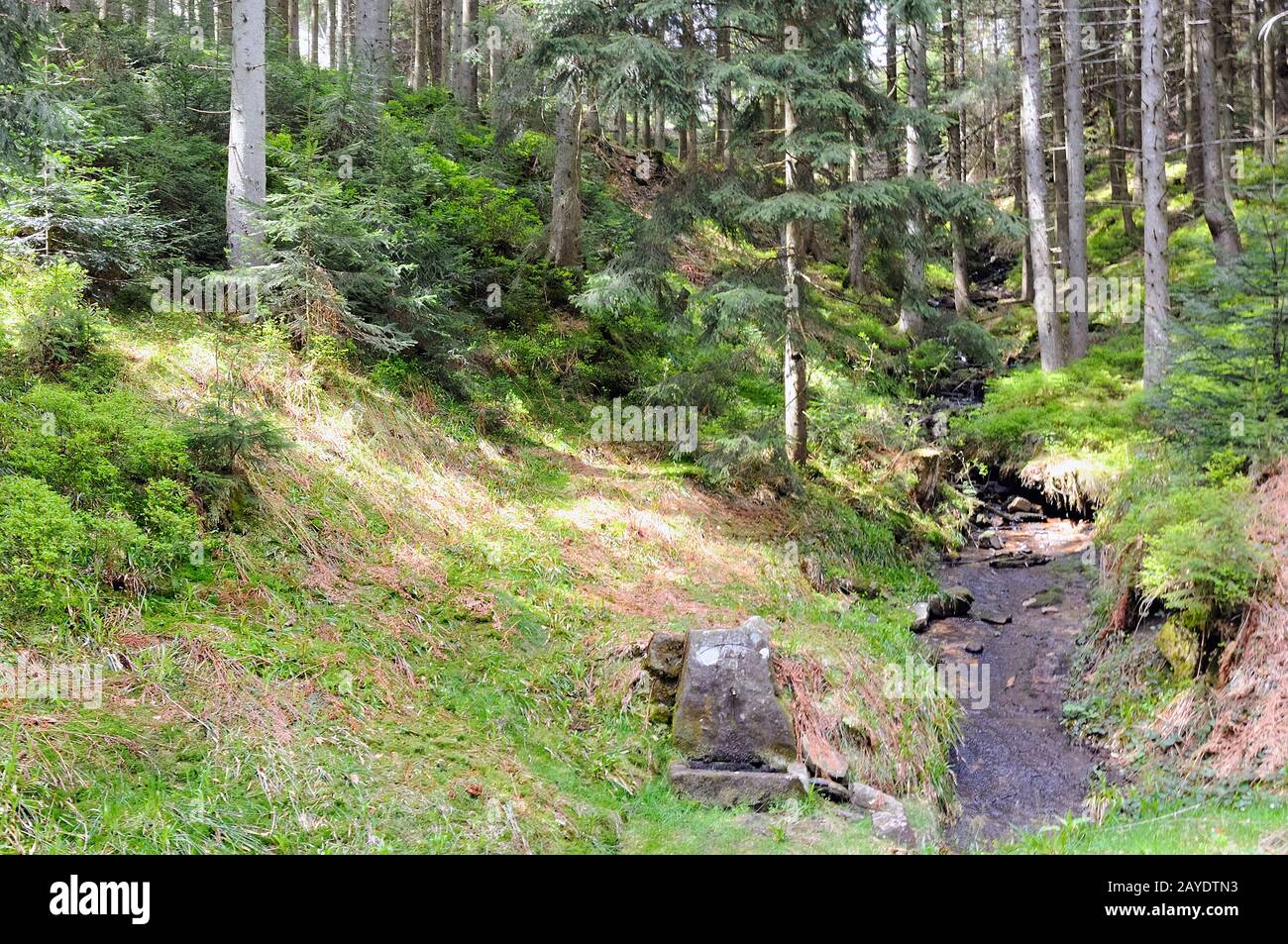 Source of the red Murg in the Black Forest Germany Stock Photo - Alamy