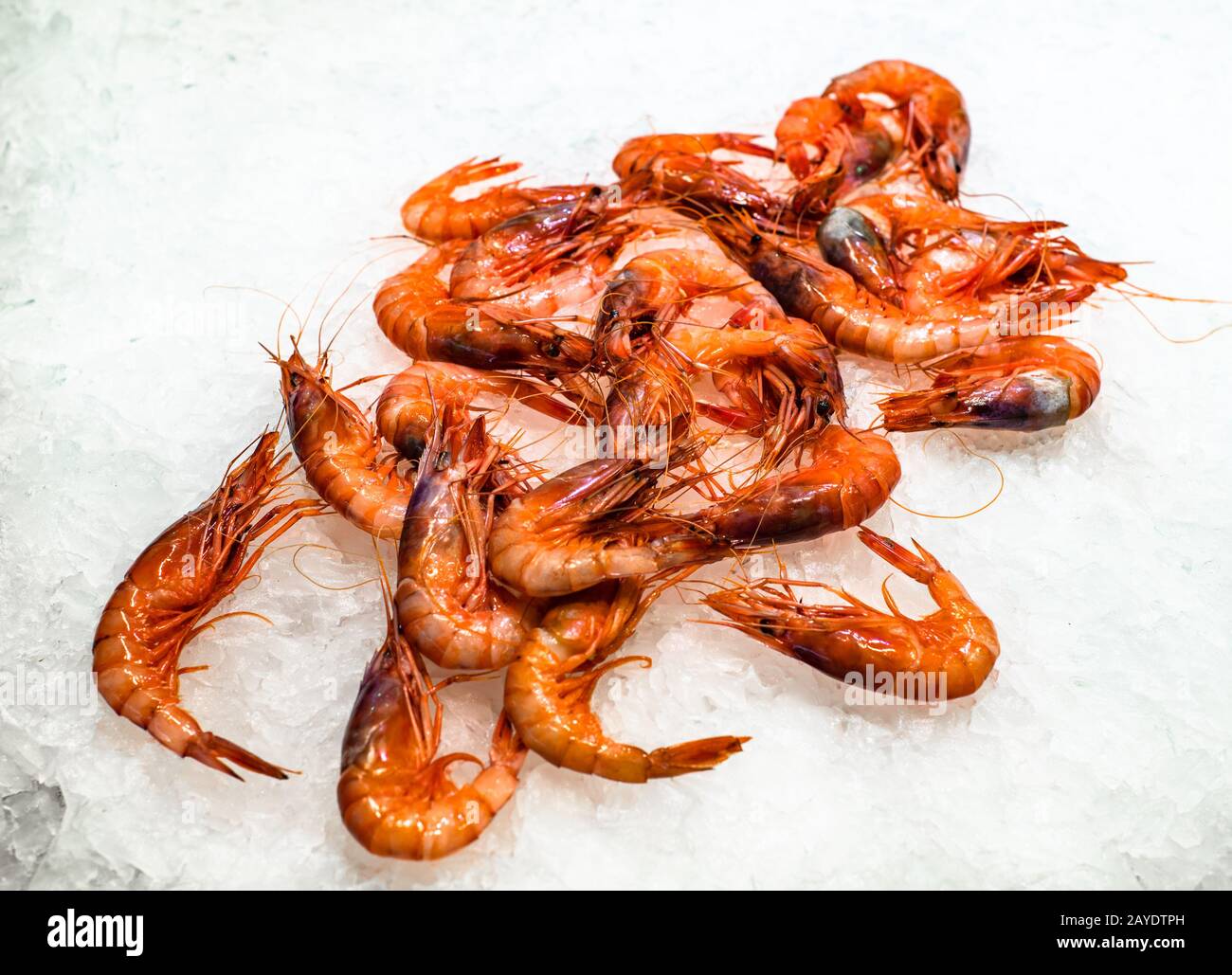 Fresh prawns at fish market Stock Photo - Alamy