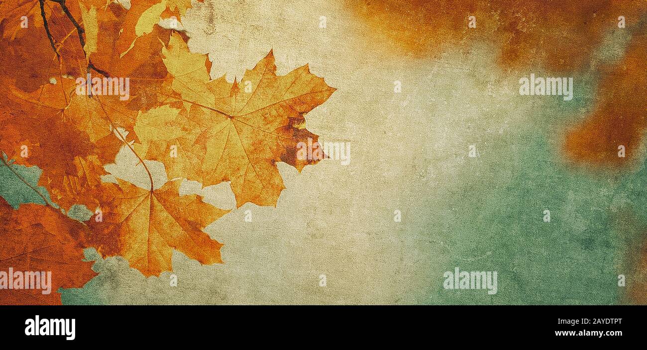 grunge background with autumn leaves Stock Photo - Alamy