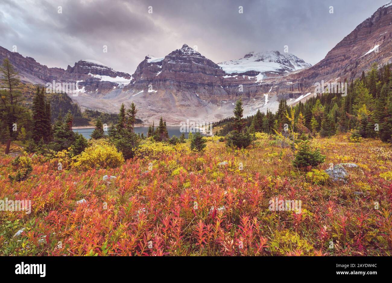 Peak fall foliage map hi-res stock photography and images - Alamy