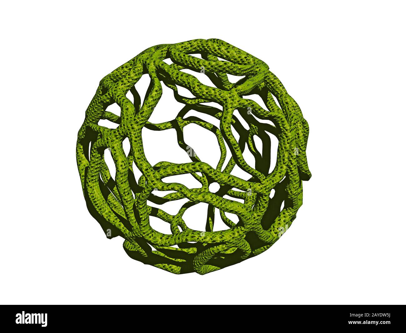 Structure of roots Cut Out Stock Images & Pictures - Alamy