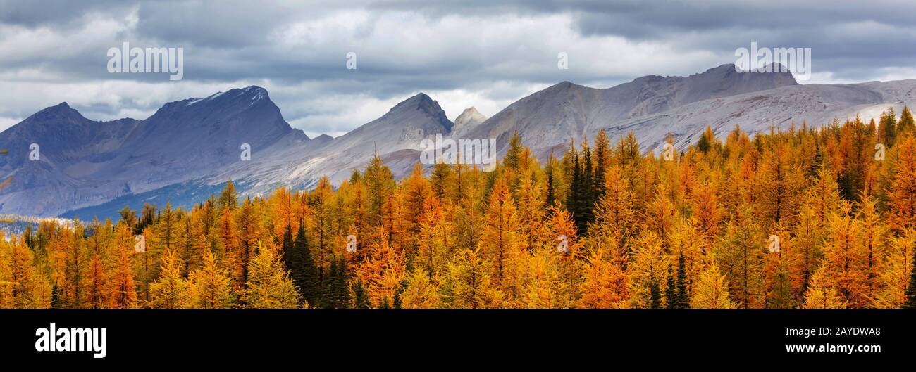 Autumn in Canada Stock Photo - Alamy