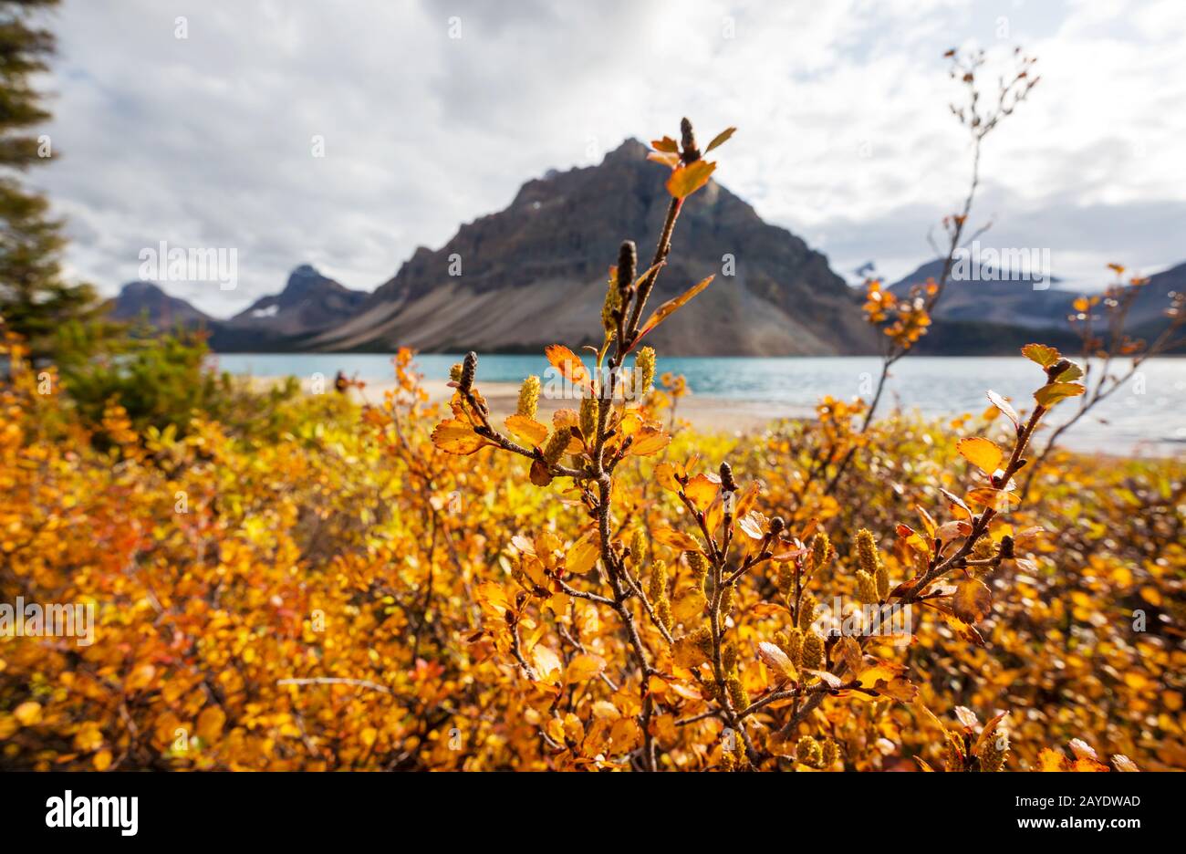 Autumn in Canada Stock Photo - Alamy
