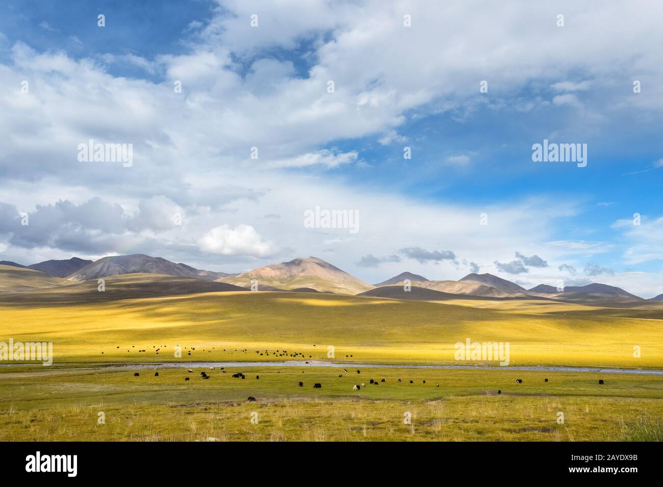 Beautiful prairies hi-res stock photography and images - Alamy