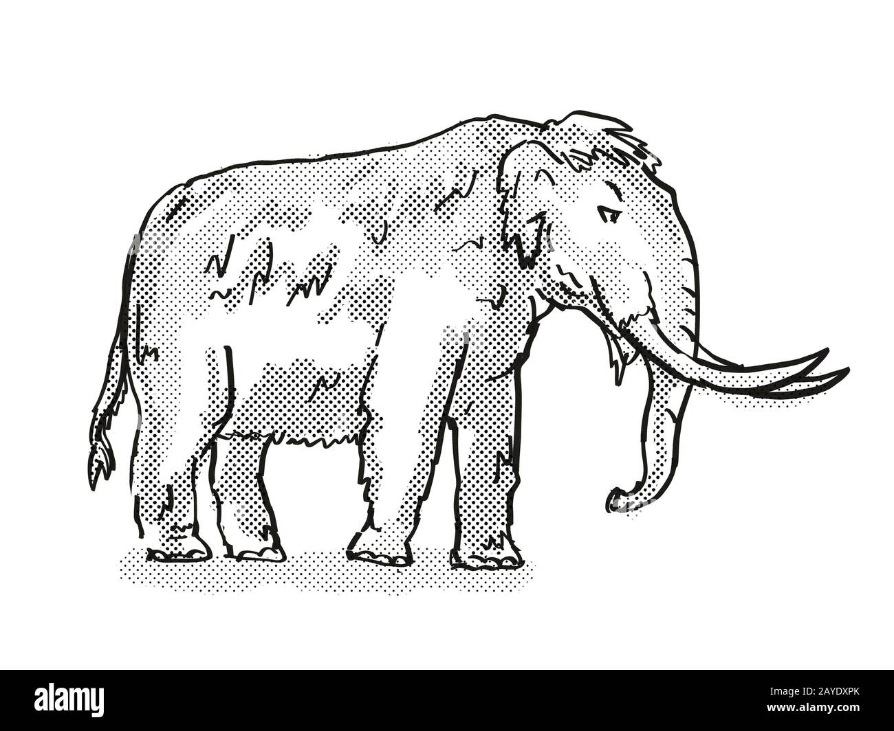 American Mastodon Extinct North American Wildlife Cartoon Drawing Stock ...
