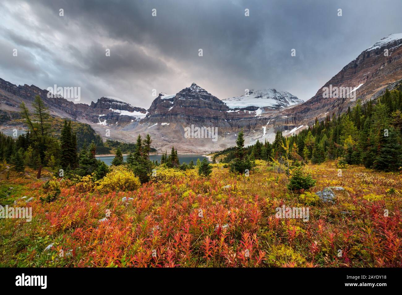 Autumn in Canada Stock Photo - Alamy
