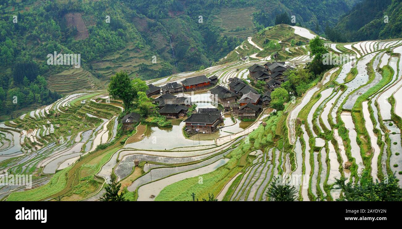 Terrace farming in china hi-res stock photography and images - Alamy