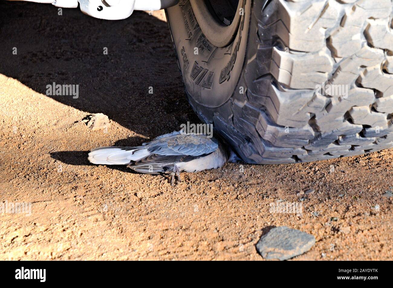 Driven nich hi-res stock photography and images - Alamy