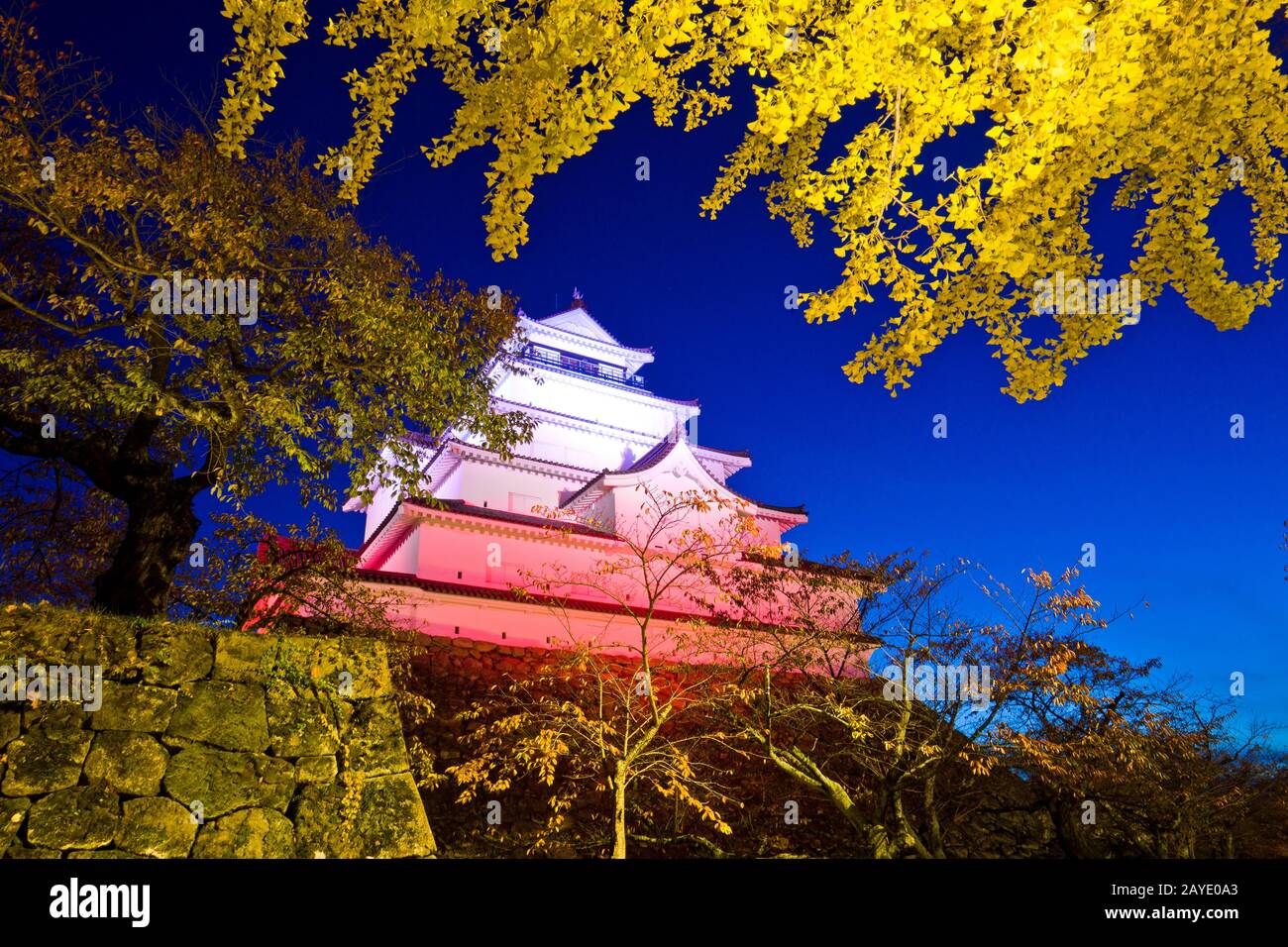 Tsuruga castle with light up in Aizu wakamatsu city, Fukushima, Tohoku ...